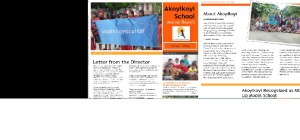 Akoyikoyi School Annual Report